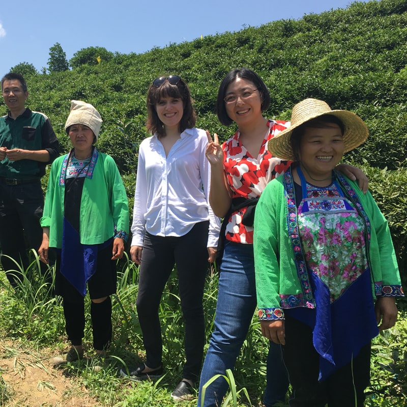 Dragonfly’s Organic Teas – Dragonfly Tea