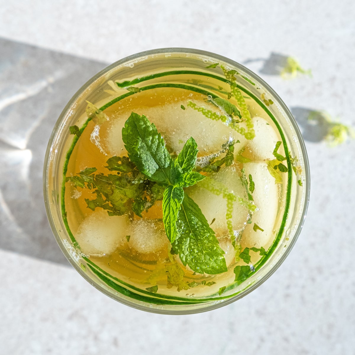 Moroccan Mint Fizz – Dragonfly Tea