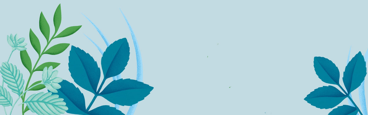 Mint Tea | Organic Mint Tea Bags - Dragonfly Tea